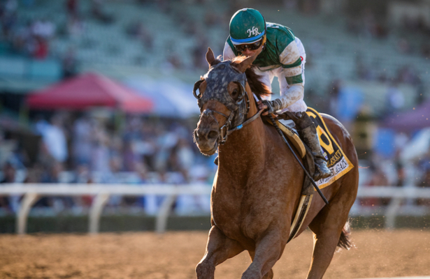 Horse Racing Nation – The fan-powered horse racing community