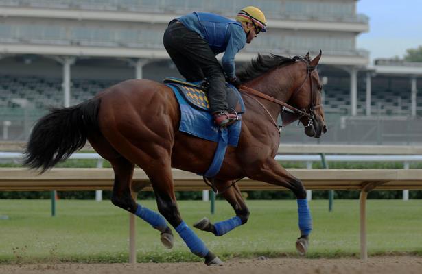 Watch: American Pharoah's first foal to race strikes on debut