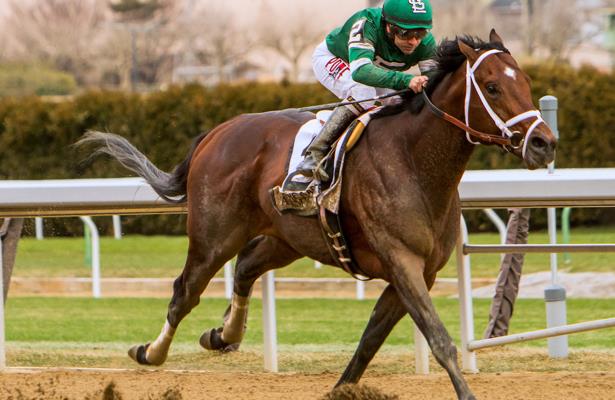 Flashy winner Army Mule breaks into NTRA Top Thoroughbred Poll