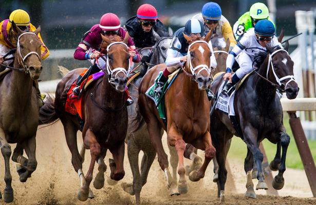 Trust in Shug McGaughey