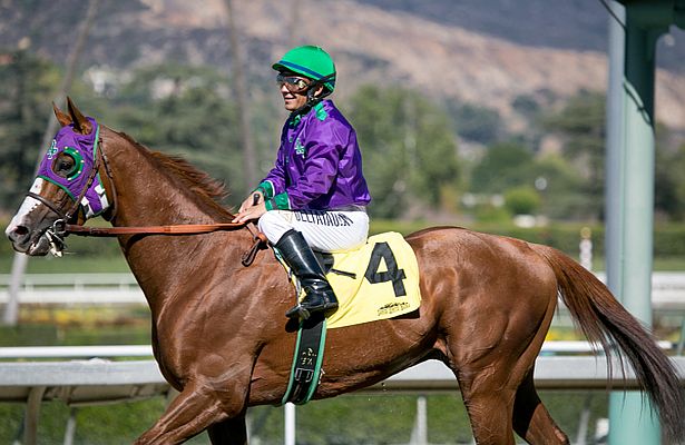 California Chrome to Run in Del Mar's Hollywood Derby