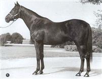 Carry Back - Alchetron, The Free Social Encyclopedia