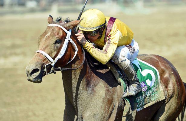 Cavorting retired from racing