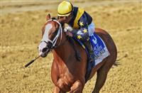 Secretariat’s Heart Size: Inside the Tremendous Machine