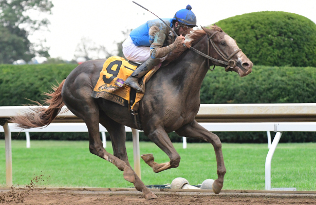 Kentucky Derby 2018 contender Free Drop Billy to stand at Spendthrift