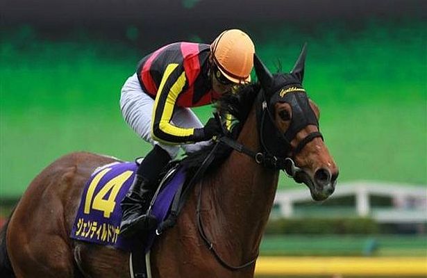 Gentildonna creates history in Japan Cup - Horse Racing Nation