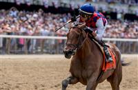 Union Rags - Horse