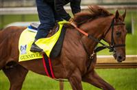 Secretariat’s Heart Size: Inside the Tremendous Machine - Horse Racing ...