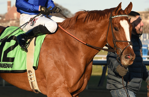 Horse Racing Nation – The fan-powered horse racing community