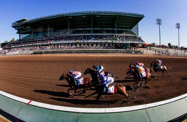 California Horse Racing board sets 2020 race dates