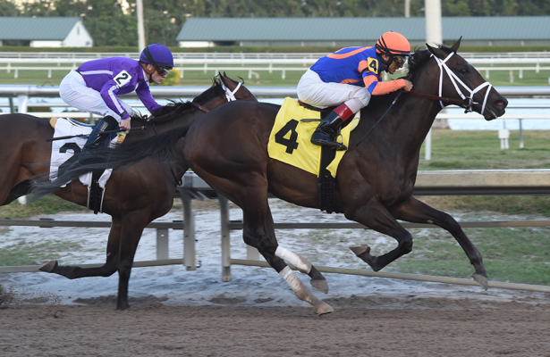 Kentucky Derby 2018 Daily: Two contenders emerge at Gulfstream