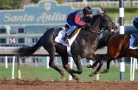 Gun Runner Dominates the Louisiana Derby - A New York State of Racing ...