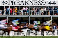 Secretariat’s Heart Size: Inside the Tremendous Machine