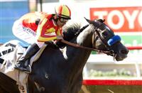 Michael Pegram - Owner