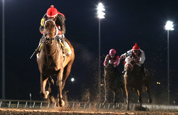 Horse Racing Nation – The fan-powered horse racing community