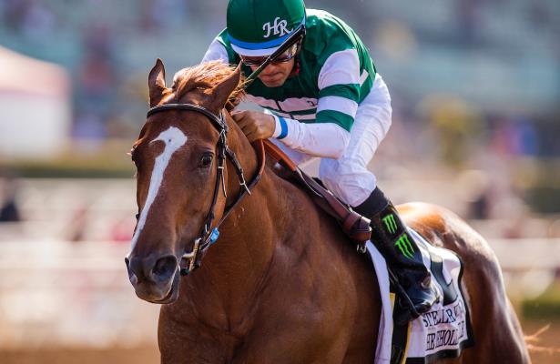 Stellar Wind Edges Vale Dori in Epic Beholder Mile