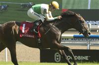 Secretariat’s Heart Size: Inside the Tremendous Machine