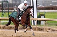 Indian Charlie - Horse