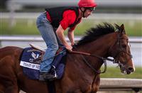 Secretariat’s Heart Size: Inside the Tremendous Machine - Horse Racing ...