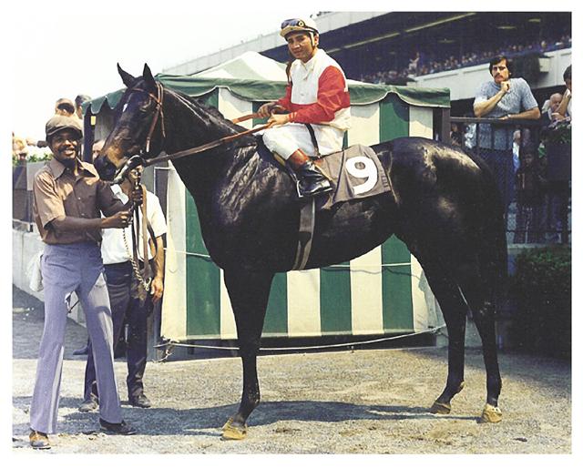 The Legacy Of Ruffian 41 Years Later