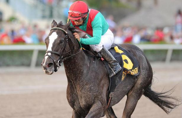 Speechify Makes the Grade in Mr. Prospector